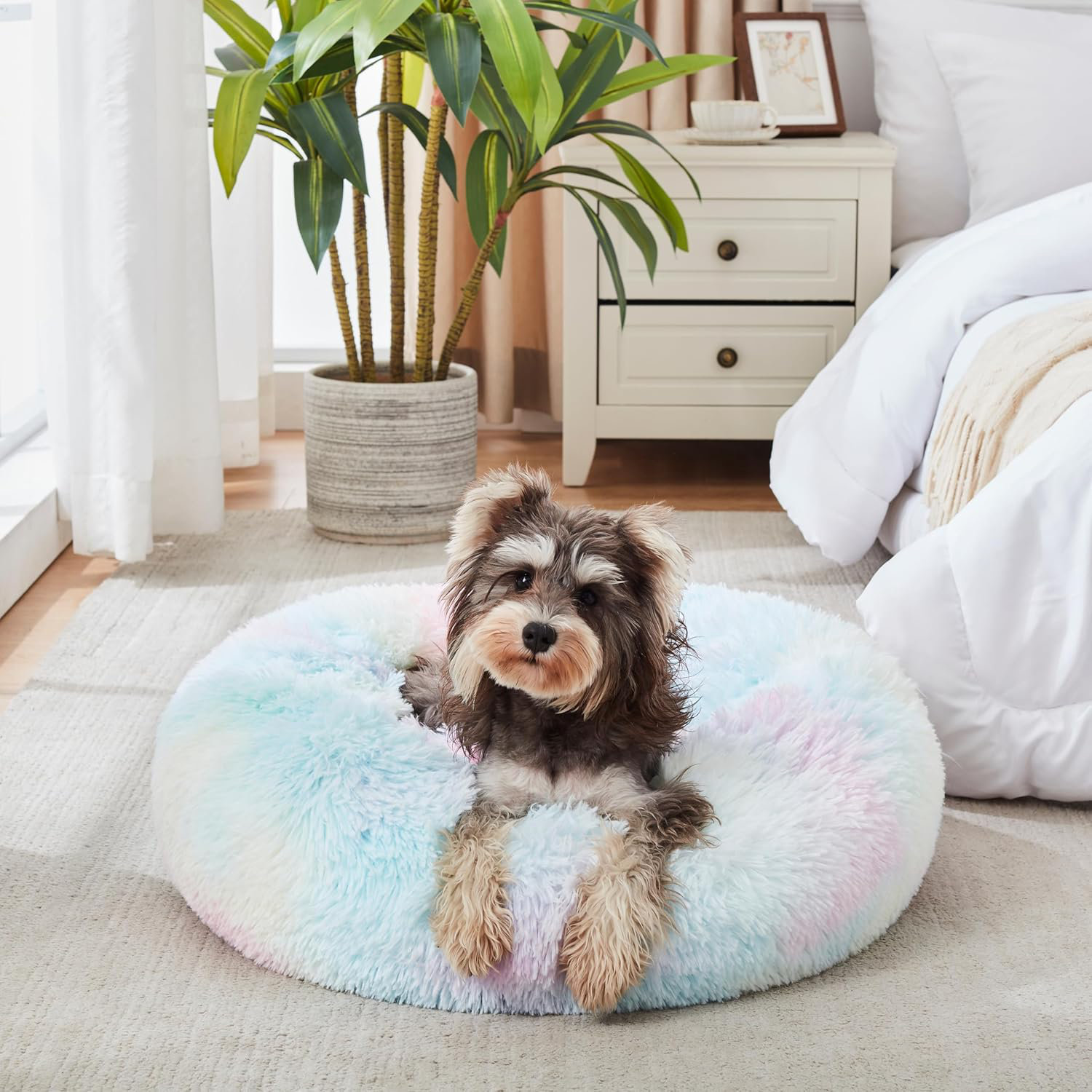 Tucker Murphy Pet™ Calming Dog & Cat Bed, Anti-Anxiety Donut Cuddler Warming Cozy Soft Round Bed ...